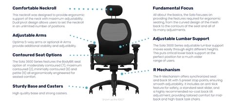 Sola 3600 Series Executive Task Chair Bodybilt