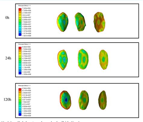 Figure 9 From Numerical Simulation Study On The Effect Of Preinjected Co2 On The Hydraulic Figure 9 From Numerical Simulation Study On The Effect Of Preinjected Co2 On The Hydraulic