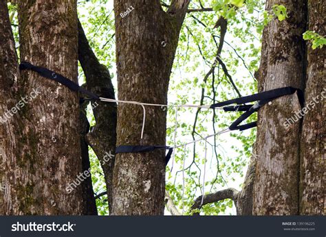 Bracing Cable Images Stock Photos Vectors Shutterstock