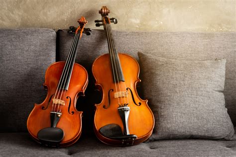 Violas And Violins Whats The Difference MusicVibe