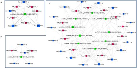 Identification And Comparison Of Circular Rnas In Preeclampsia [peerj]