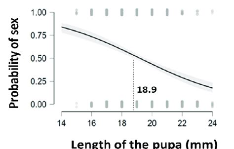 Probability Of Sex Based On Length Of Pupa Male Probability At 1 And