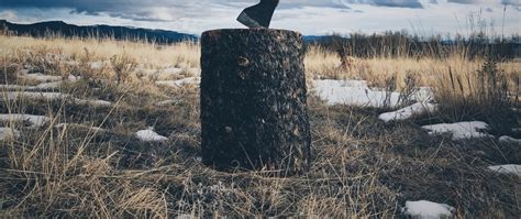 Flexbox Axes Dev Community