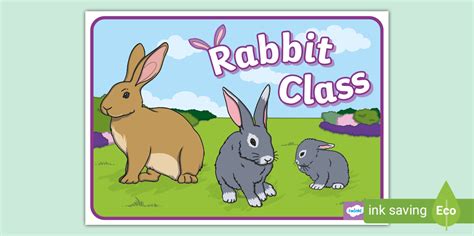 Rabbit Class Display Poster Teacher Made Twinkl