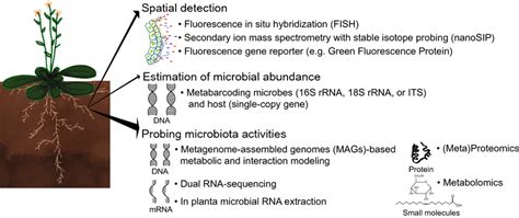 steps of experiment and examples of methods discussed in this review to