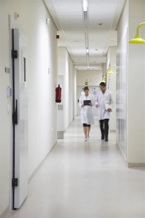 Mydentist Sponsor Palamon Appoints Morgan Stanley To Prep Sale Auri