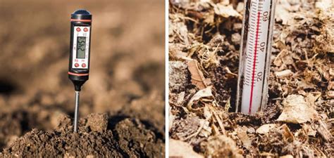 How To Determine Soil Temperature Without Thermometer