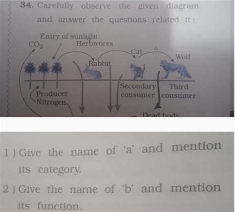 Carefully Observe The Given Diagram And Answer The Questions Related It