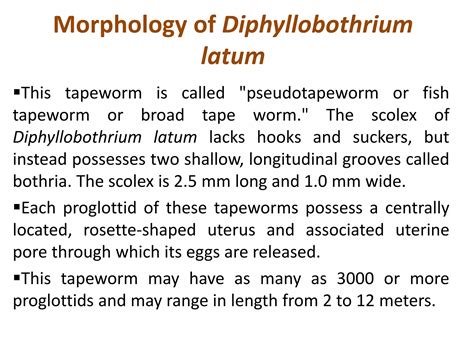 Diphyllobothrium Latum Pptx
