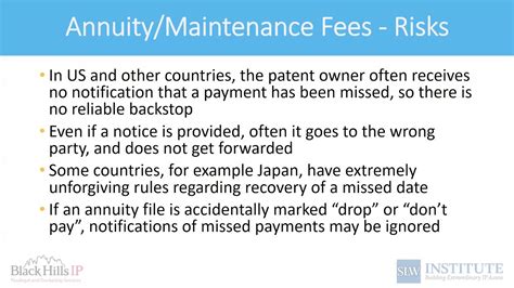 Us Ip Docketing Black Hills Ai