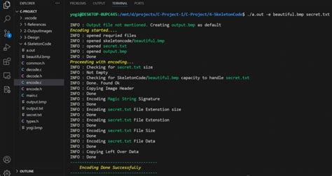 Cprogramming Linux Steganography Cybersecurity Imageprocessing