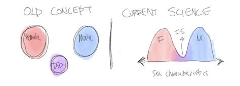 What Is Intersex Difference Of Sex Development Intersex