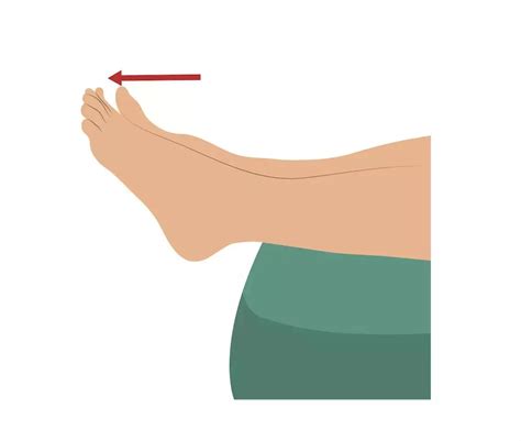 Common Ankle Injuries How To Treat A Sprained Ankle Artofit