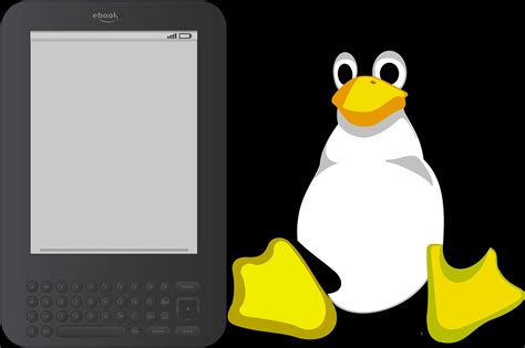 Linux 上的 Kindle，你需要知道的一切