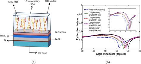 The Second Step Of Dna Hybridization Detection A Schematic Of Dna Download Scientific Diagram