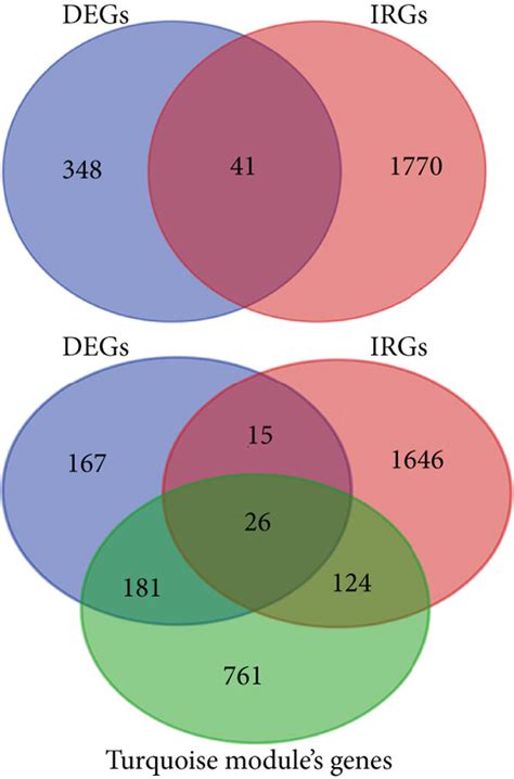 Identification Of DE IRGs And Functional Enrichment Analyses A The