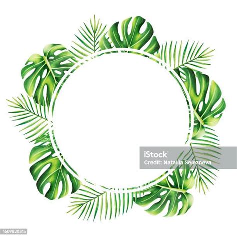 수채화 프레임과 로고는 흰색 배경에 분리된 몬스테라와 손바닥의 사실적인 열대 삽화가 있습니다 아름 다운 식물 손으로 그린 꽃 요소 디자이너 스파 장식 엽서 결혼식 인사말