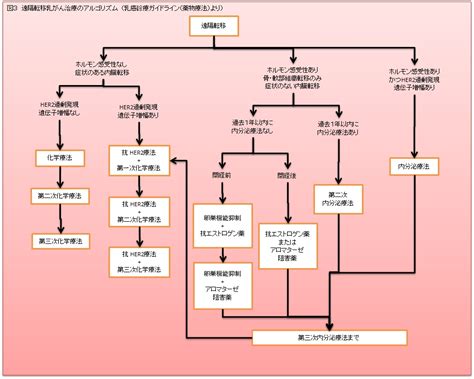 正しくがんを知ろう再発転移性乳がん ガイドライン解説 再発転移がん治療情報