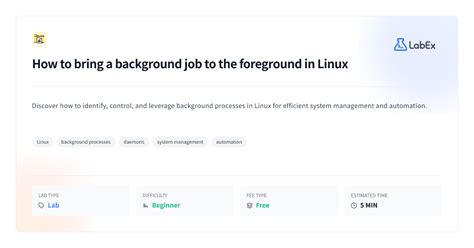 How To Bring A Background Job To The Foreground In Linux Labex
