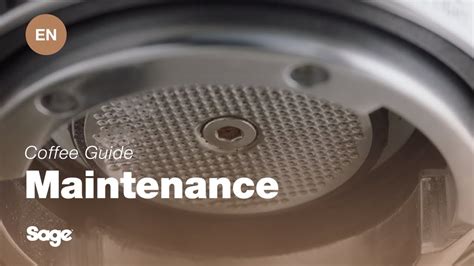 Tutorials How To Clean The Shower Screen The Oracle™ Sage