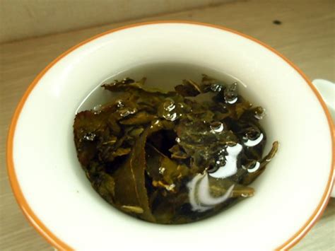 커피 메이트 시원하게 아이스 우롱차 만들기