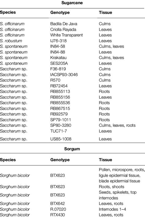Information On Samples Used For RNA Sequencing RNA Seq Experiments Download Scientific Diagram