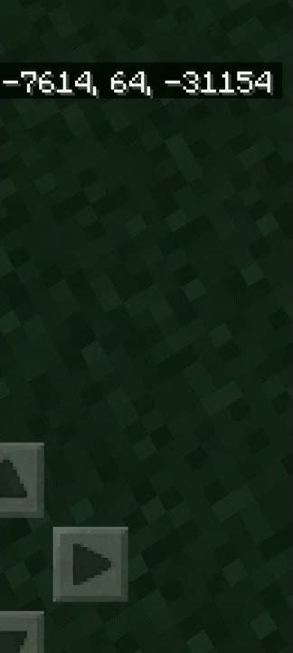 Reached At This Coordinate Minecraft Shorts Youtube