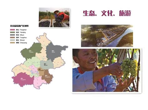 房山酒庄葡萄酒媒体日活动在2019北京世界园博会上举行