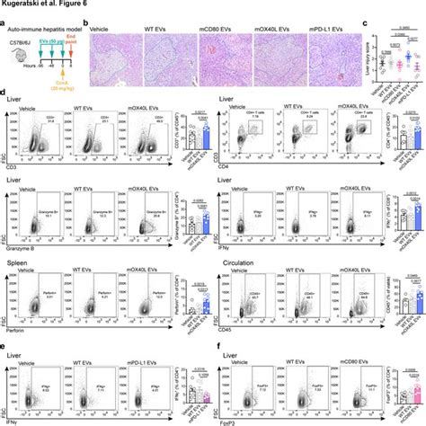Engineered Evs Modulate The Growth And Alter The Immune Landscape Of