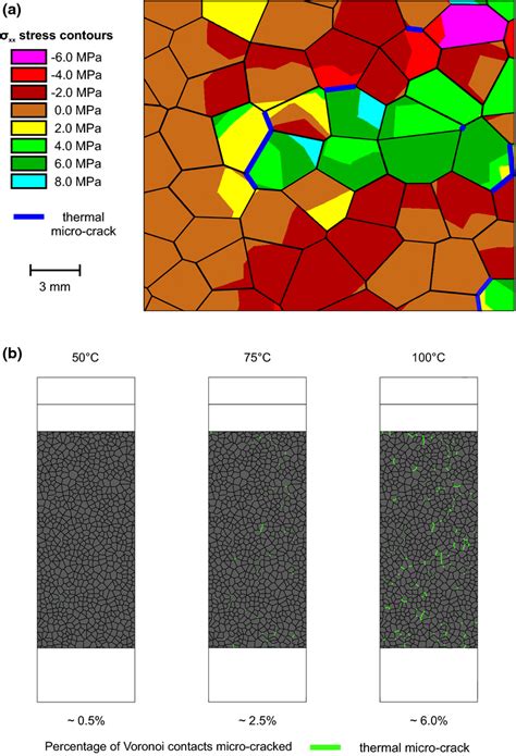 A A Subset Of A Numerical Simulation Thermally Loaded To Download Scientific Diagram