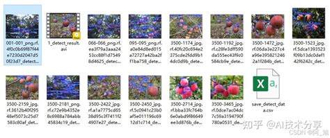 基于yolo11深度学习的果园苹果检测与计数系统设计与实现【python源码pyqt5界面数据集训练代码】 知乎