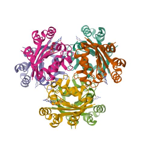 Rcsb Pdb 3dkd Crystal Structure Of The Mimivirus Ndk Kpn N62l R107g Triple Mutant Complexed