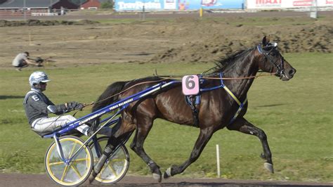 Calle Crown Med Johnny Takter Som Kusk Ett Spännande Par I Åbergs