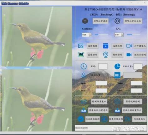 基于深度学习的高精度鸟类目标检测识别系统（pytorchpyside6yolov5模型） 知乎