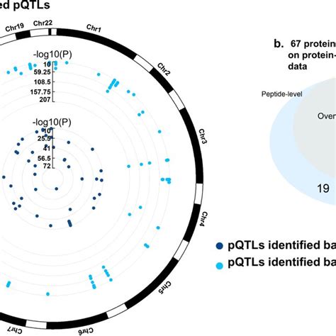 Genomic Atlas Of All Identified Pqtls A Overview Of All Identified Download Scientific Diagram