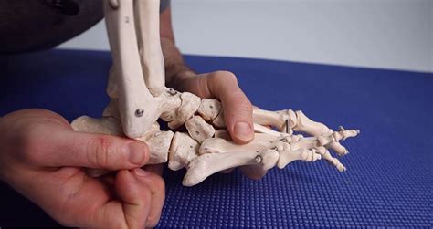 Cuboid Fracture Healing