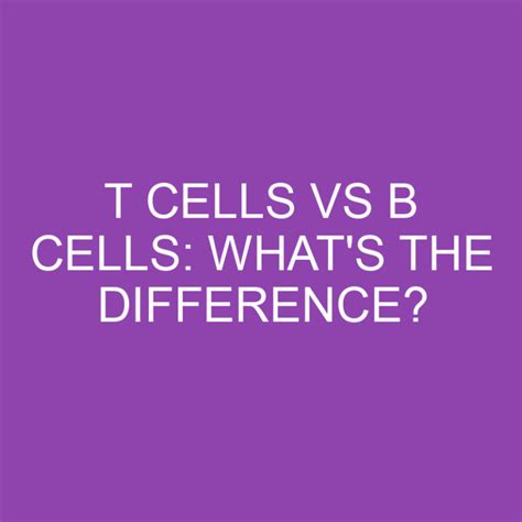 T Cells Vs B Cells What S The Difference Differencess