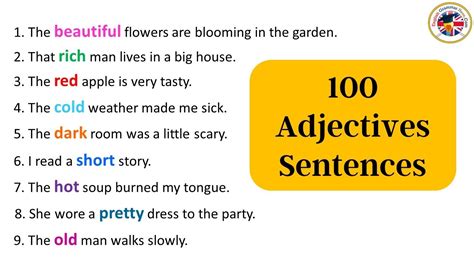 100 Adjectives Sentences Examples Adjectives Words In Sentences
