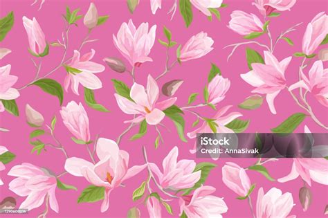 수채화 목련 꽃 원활한 벡터 패턴 목련 꽃 잎 꽃잎 꽃 배경 봄과 여름 웨딩 일본어 벽지 직물 인쇄 초대장 배경 커버 0명에 대한 스톡 벡터 아트 및 기타 이미지 Istock