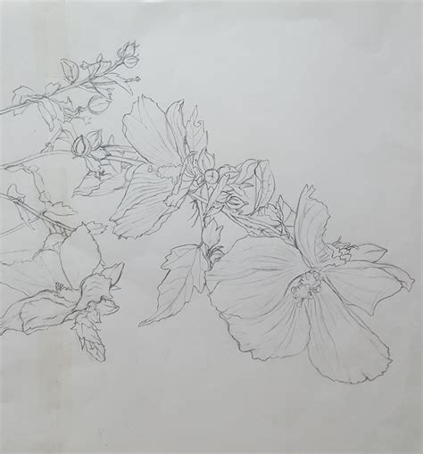 동네꽃 17 무궁화 우리나라 꽃 꽃 그림 꽃 그리기