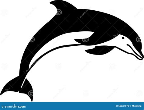 海豚例证剪影向量 向量例证 插画 包括有 例证 符号 敌意 空白 野生生物 本质 投反对票 58037678