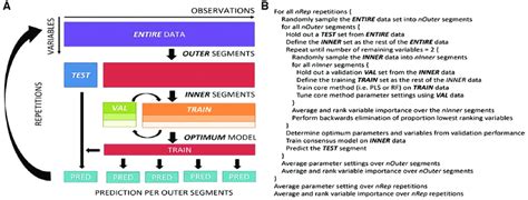 Working Principle Of Muvr A Graphical Representation Of The Muvr Download Scientific Diagram