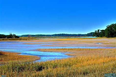 South Carolina Lowcountry H D R Photograph By Lisa Wooten Fine Art