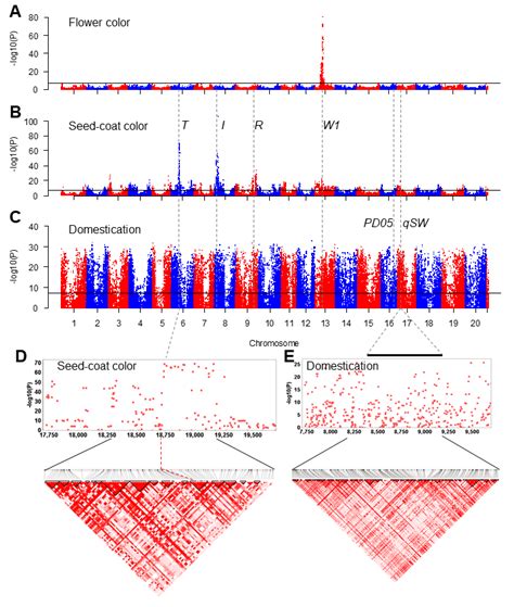 Genome Wide Association Scans For 3036 Soybean Accessions For Flower