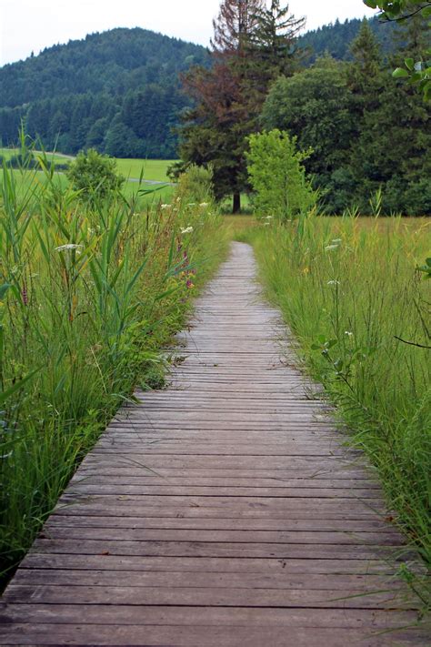Free Images Nature Path Grass Trail Meadow River Canal Walkway