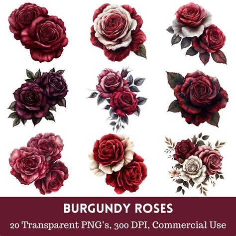watercolor burgundy roses clipart 20 high res pngs for wedding card digital planner digital