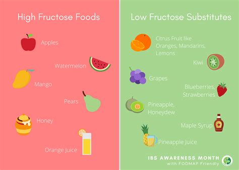 Fructose Intolerance Diet