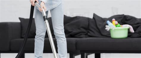 Domestic Housekeeper