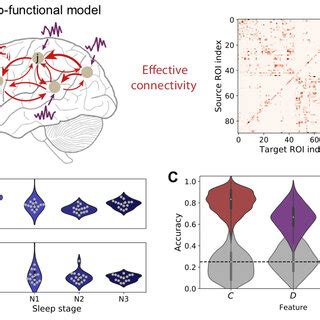 A Our Dynamic Network Model Has Two Sets Of Optimized Parameters The