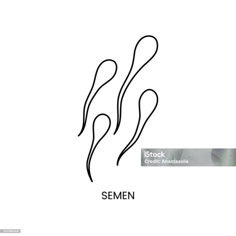 실험실 분석을 위한 남자의 정액 벡터에 있는 정자 아이콘 선의 그림 개념에 대한 스톡 벡터 아트 및 기타 이미지 개념 건강 진단 건강관리와 의술 Istock